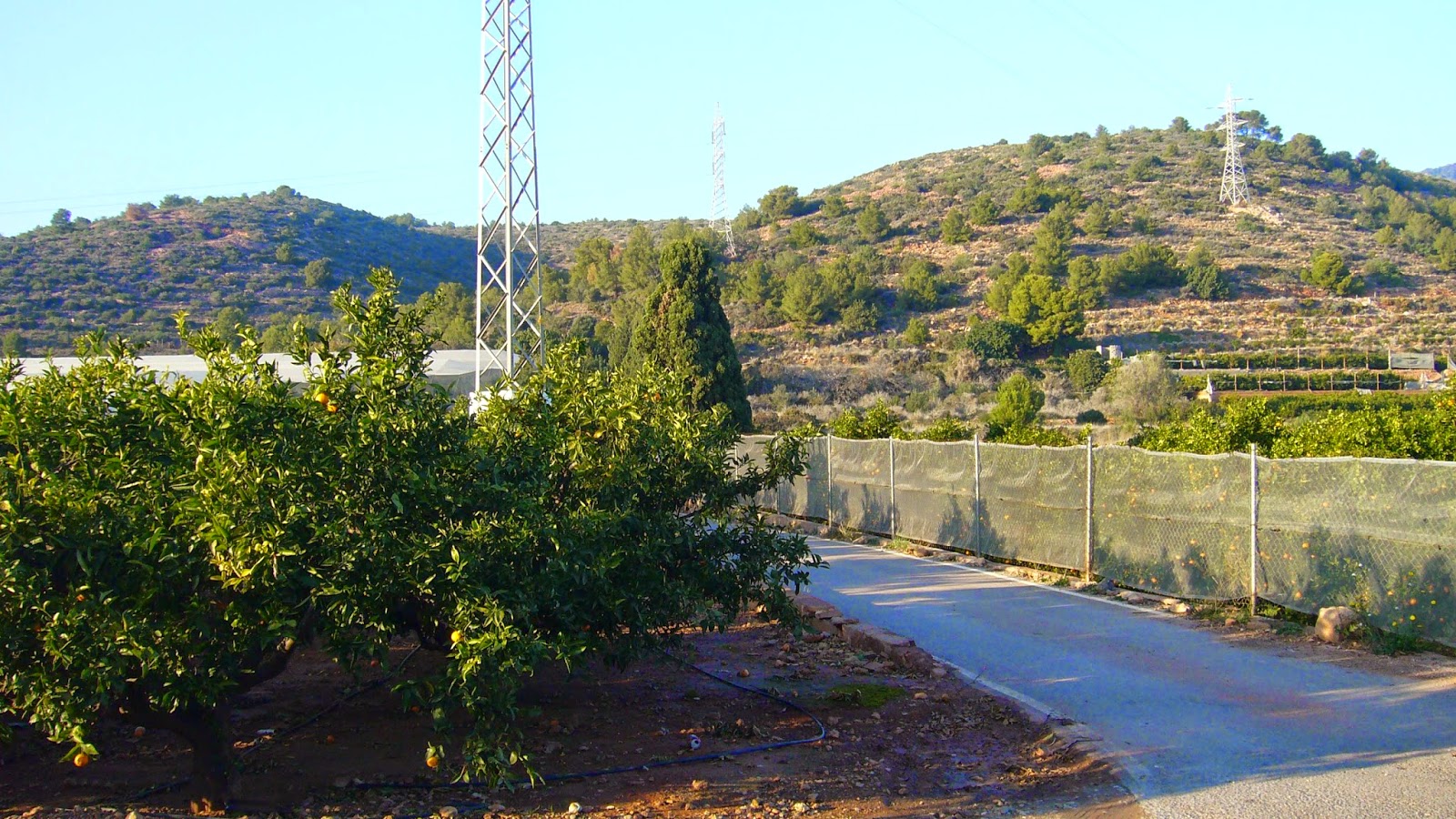 LA COSTERA, LA CALDERONA AL MAR | Al Sur De La Calderona