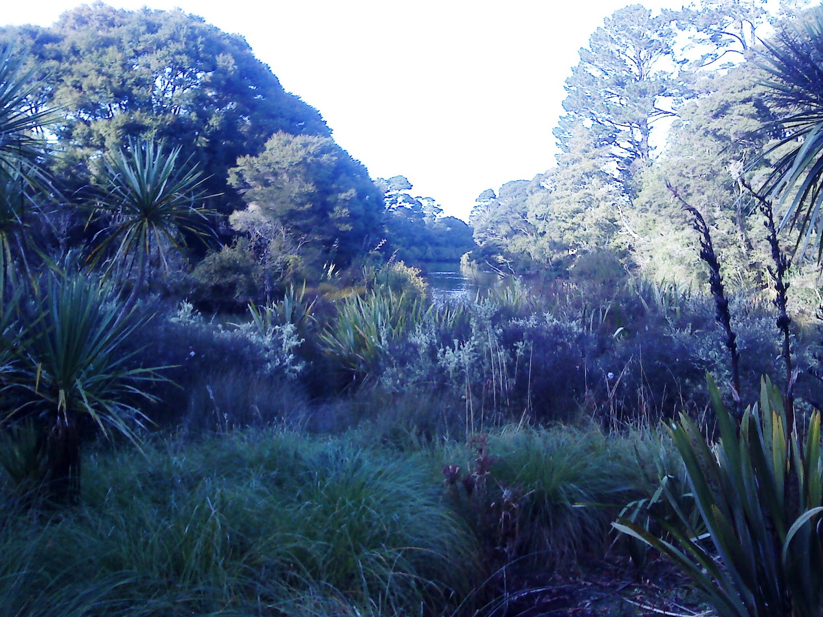 Going Outdoors: Kell Park - Kaipatiki