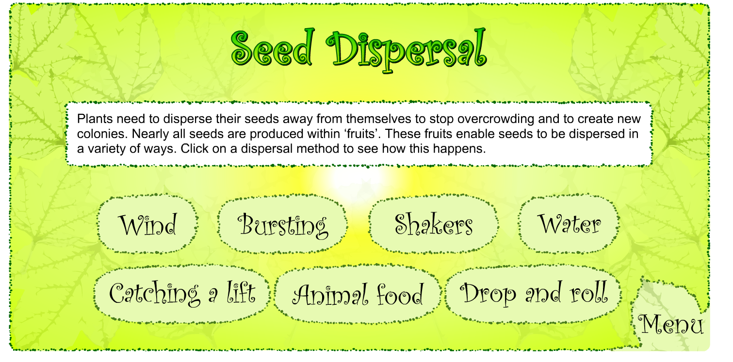 HTS 3rd Grade Technology Blog: Plant Life Cycle