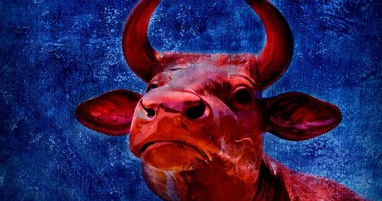 Afinación diaria de Kabbalah. Punto de Re-Unión.: La vaca roja