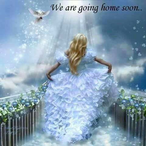 A Layman Looks at the Word: September 2017