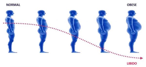 Kesan Obesiti (Gemuk) Kepada Libido Lelaki ~ Kurus Dengan X360 Ubijaga