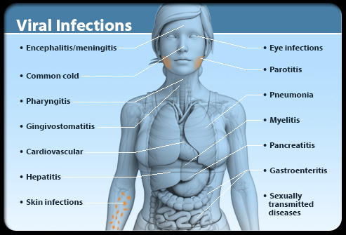Bahaya Viral Infection - Hearty . Love . Healthy
