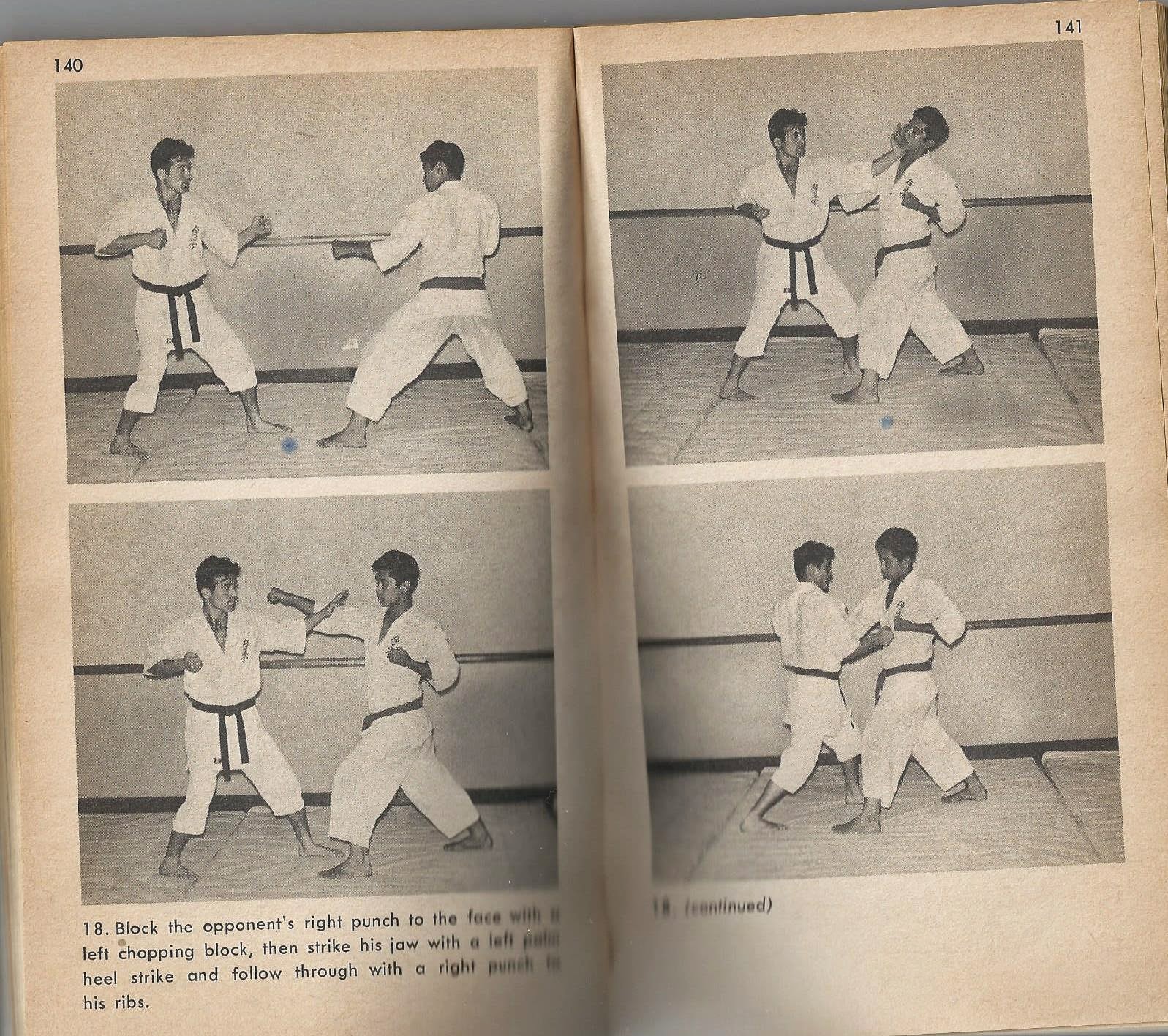 Isshin - Concentration the Art: Bobby Lowe's "Mas Oyama's Karate" from 1969