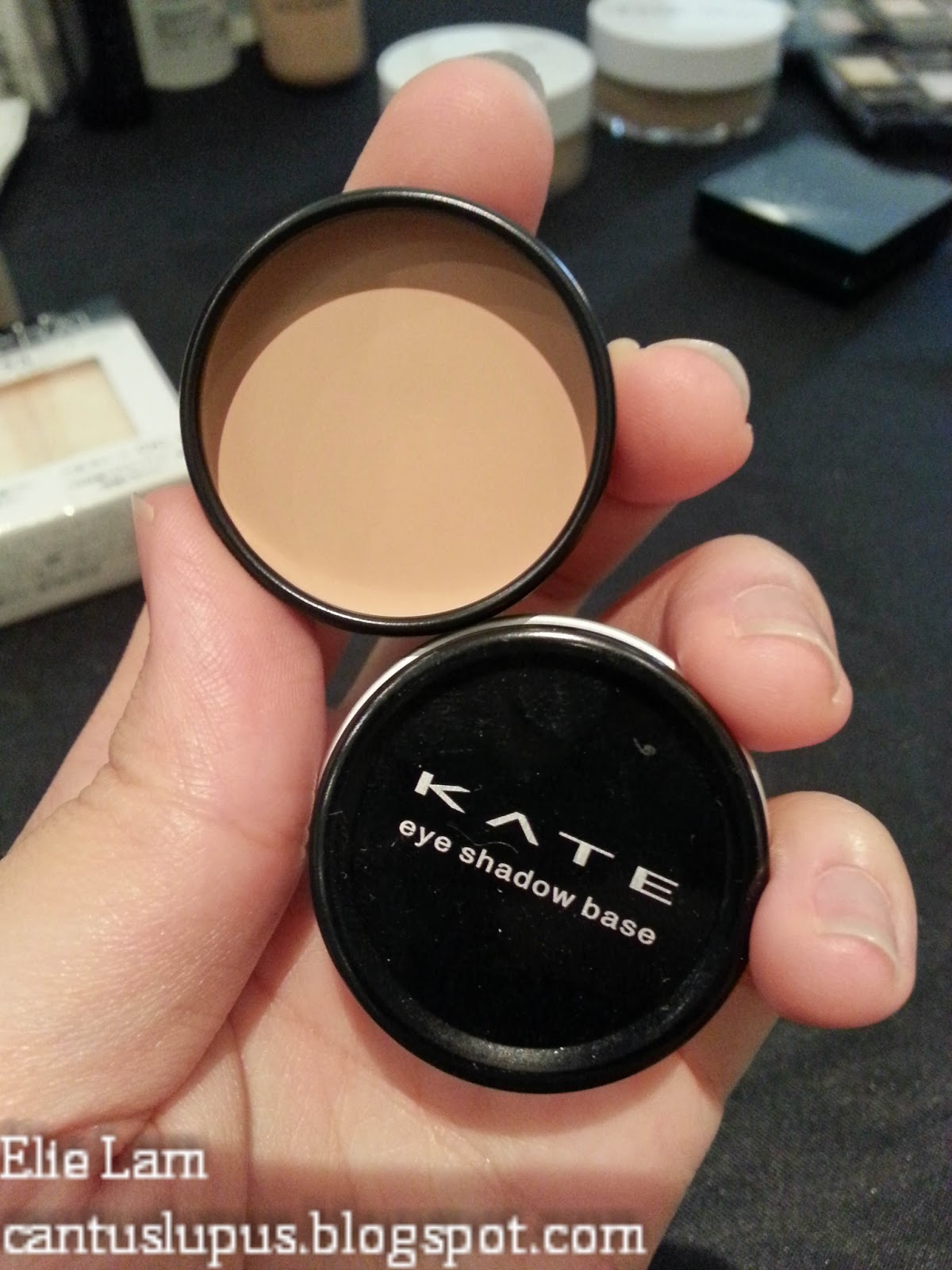 KATE Makeup Workshop - CANTUSLUPUS.COM