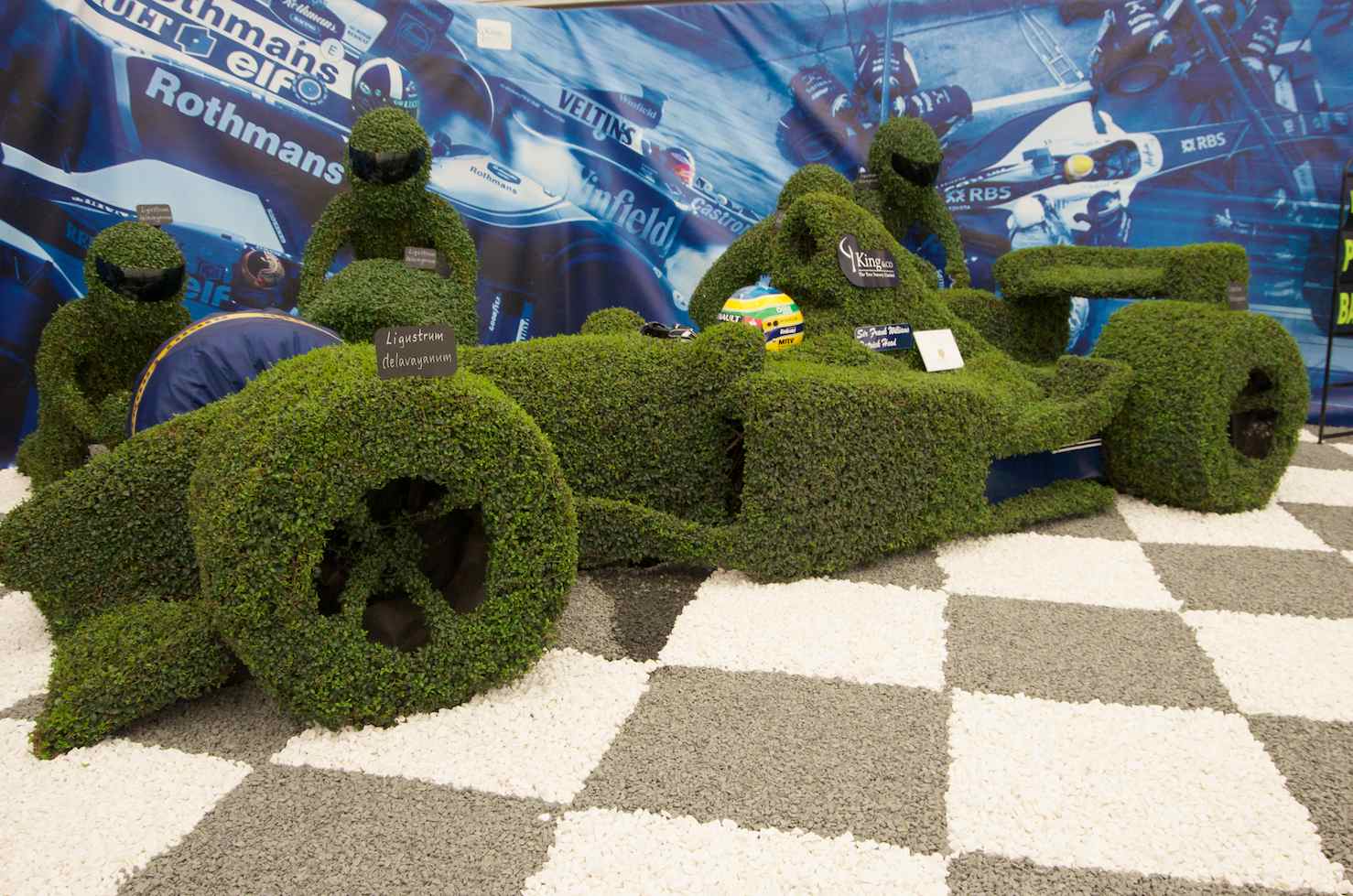 Photographer's Garden: Chelsea 2012: On show