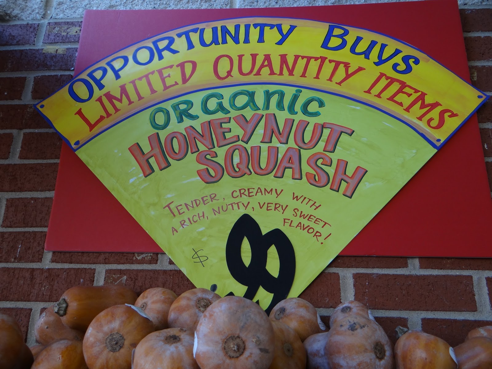 Trader Joe's 365: Day 301 - Honeynut Squash (miniature)