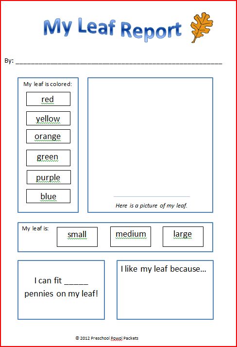 {FREE} Printable: My Leaf Report | Preschool Powol Packets