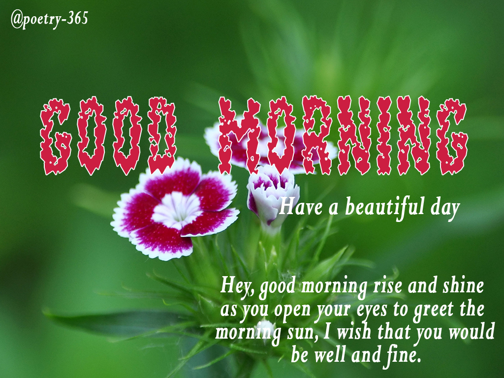 Wishes and Poetry: Sweet Good Morning Poetry with Images for Friends