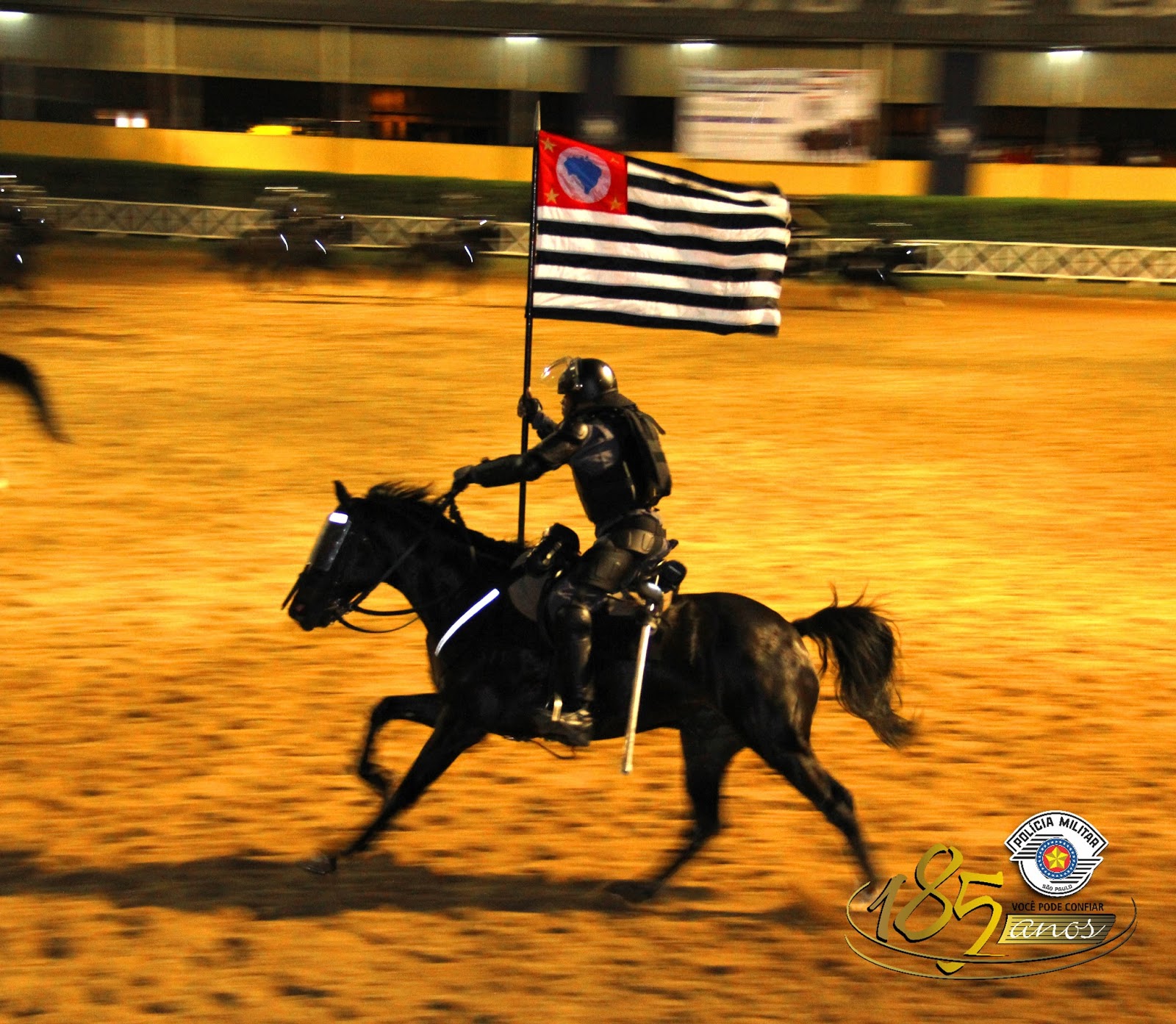 10 DE MAIO - DIA DA CAVALARIA