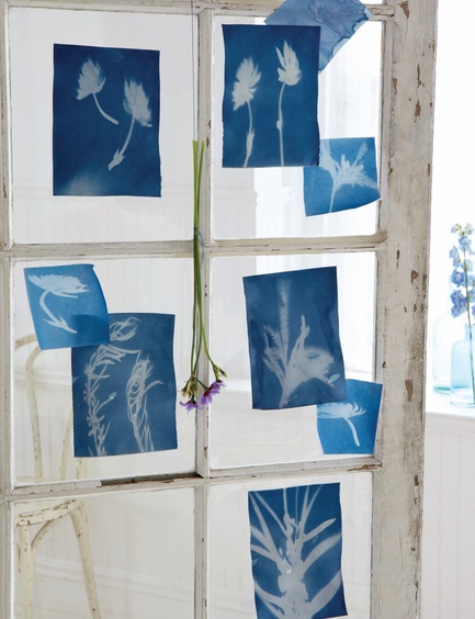 BeSoStyle: diy: sun prints