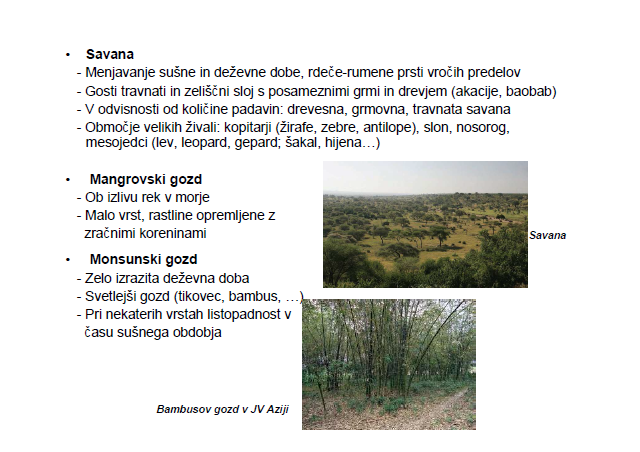 VSE O GEOGRAFIJI: PODNEBJA PO SVETU