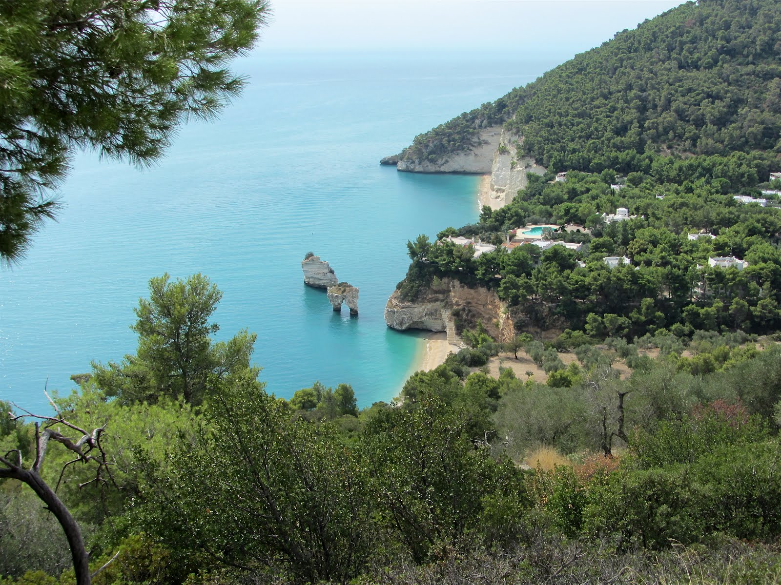 Garden Diary: Gargano Peninsula.