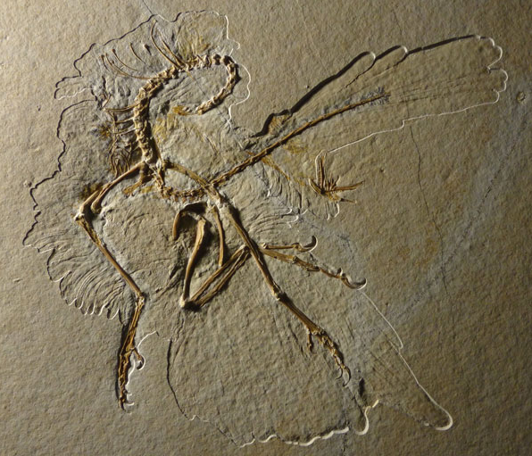 Geology in the West Country: 2011