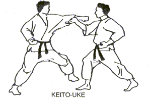 KARATÊ-DO: TÉCNICAS DE DEFESA