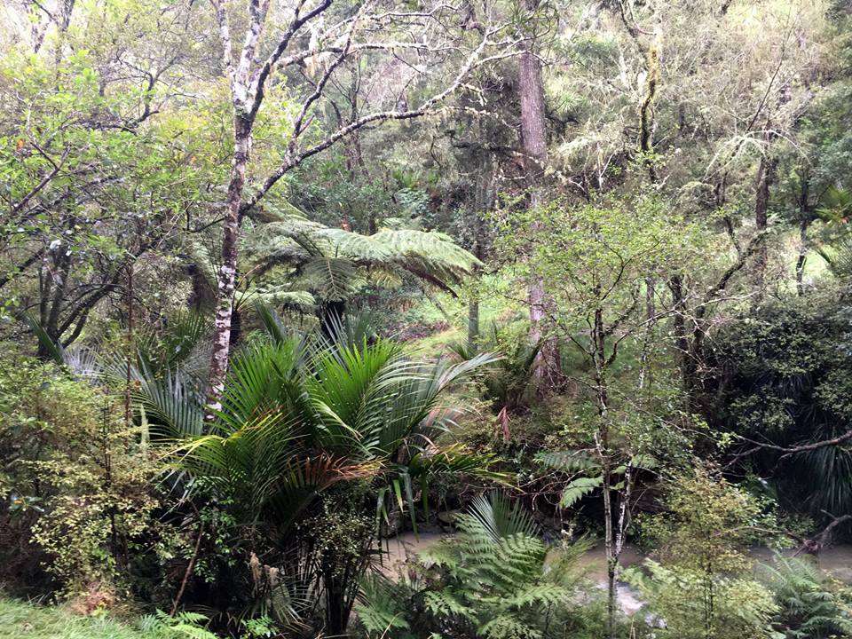 Mission To The Land of The Long White Cloud: Omeru Falls with the ...