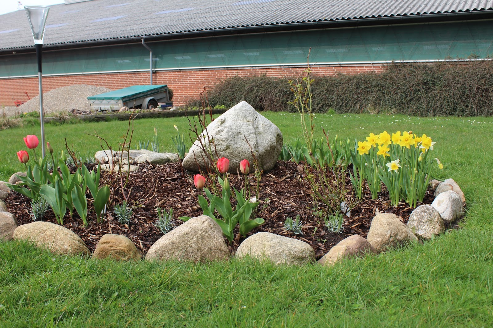 Aavangs have: Den hvide sten