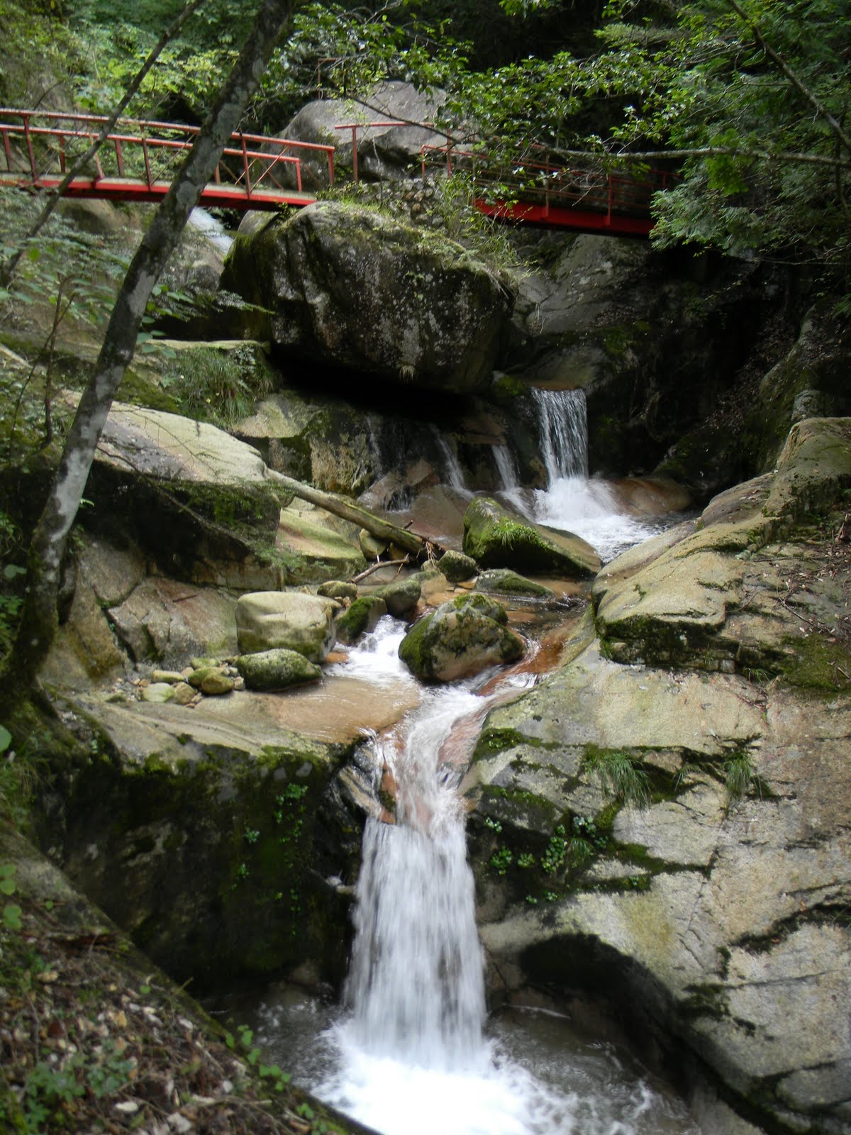 Konichiwa, Iwakuni!: Hiking Seven Falls