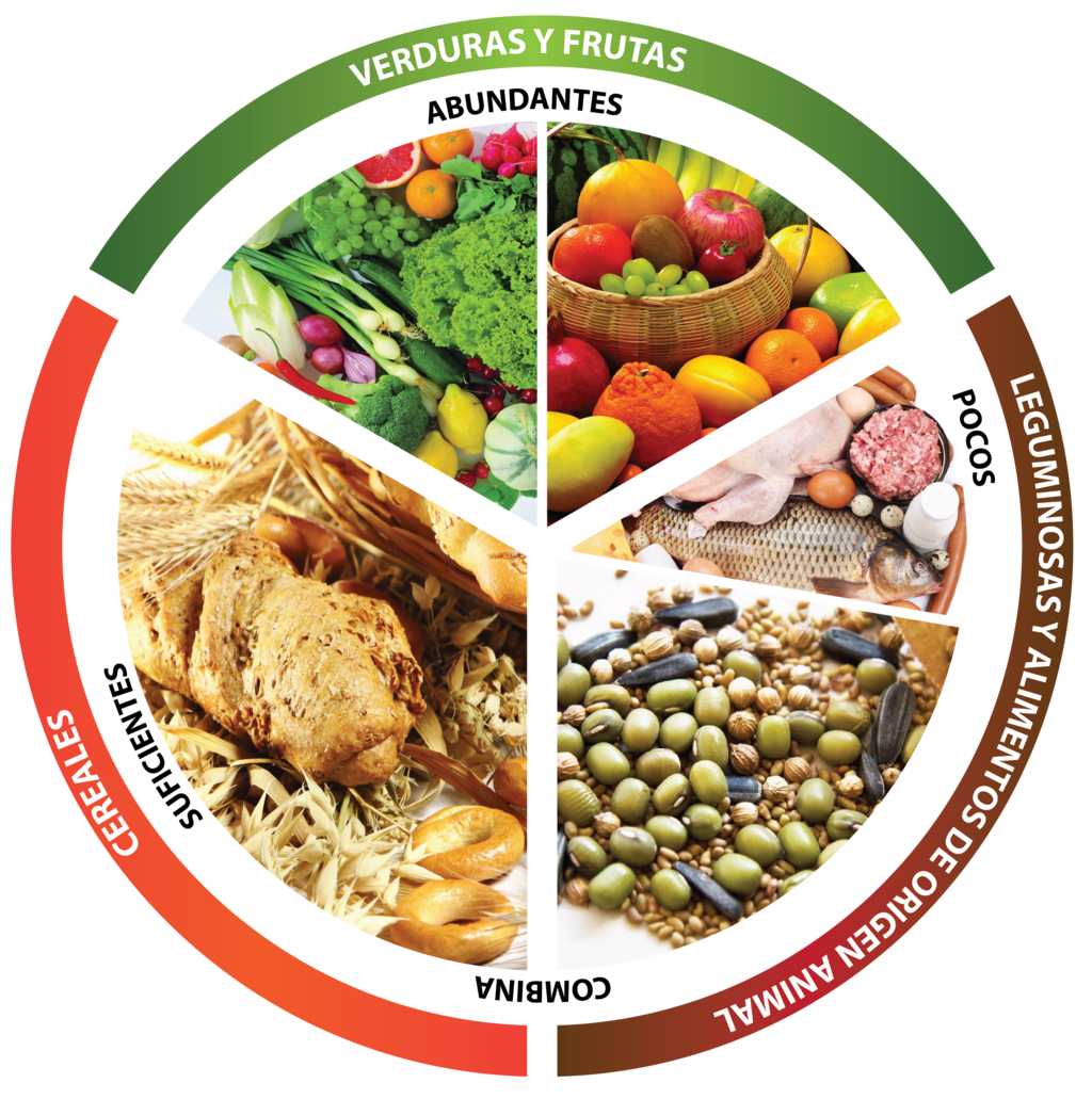 EL PLATO DEL BIEN COMER | Cuidado de la Salud