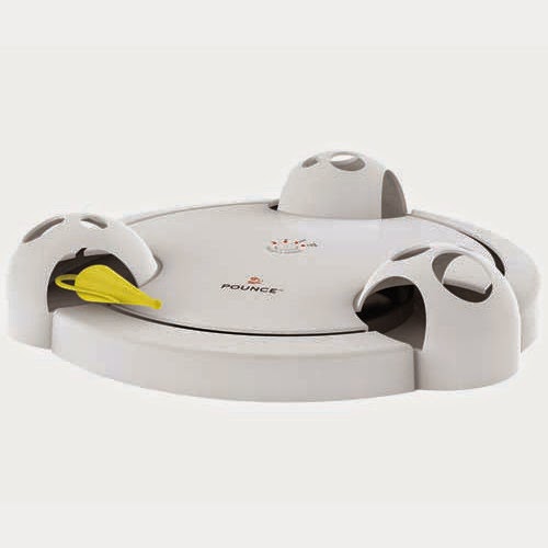 Cat and DOG Chat With Caren: It's the FroliCat POUNCE™ !! Enter to Win!!