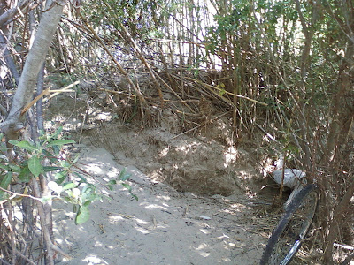 1000 Hikes in 1000 Days: DAY 232 - 234: Independence Day - Homeless Hideout