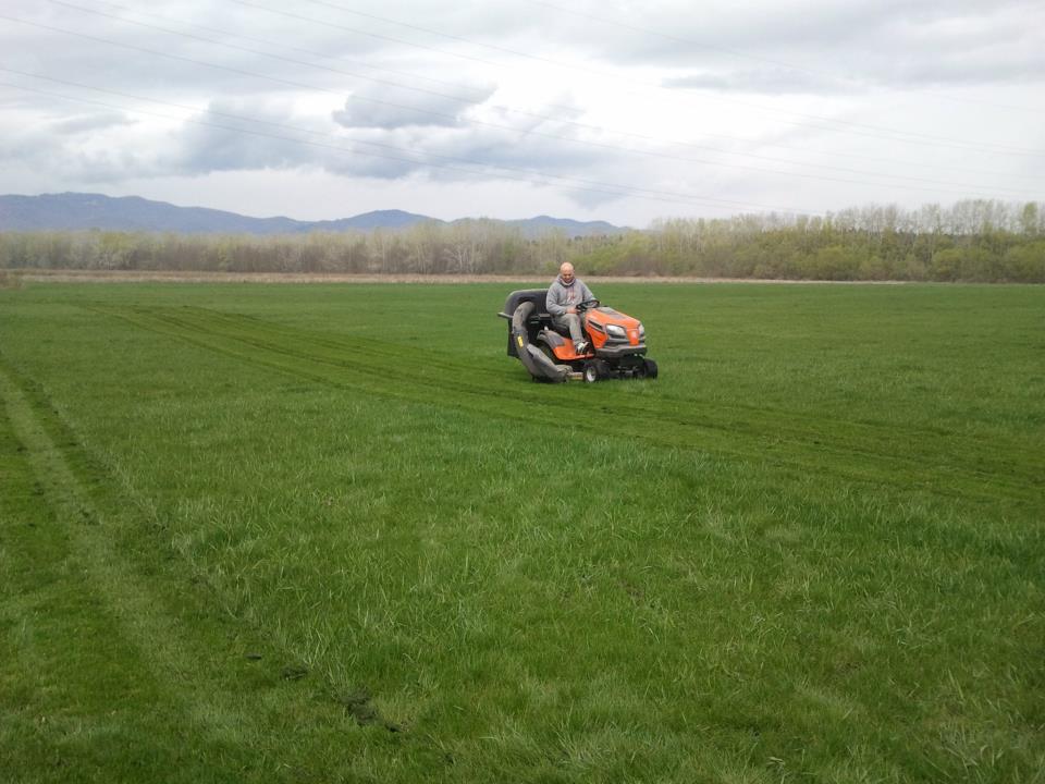 Gazon rulat de calitate superioara la preturi foarte mici