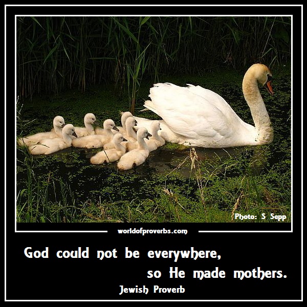 Jewish Proverb 16676 jewish-proverb-16676