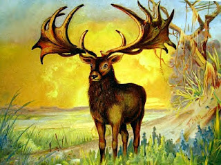 ShukerNature: THE LAST OF THE IRISH ELKS? - INVESTIGATING SOME ...