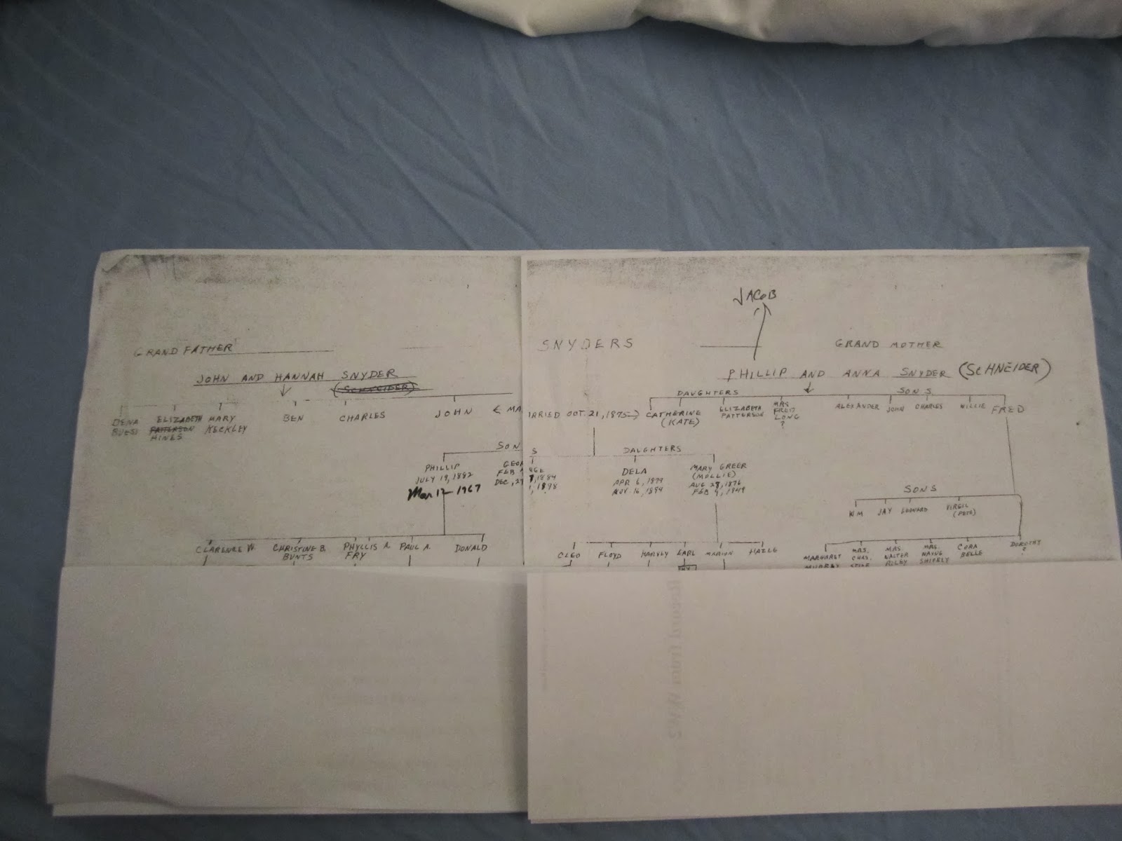 Climbing My Family Tree: Snyder aka Schneider aka Scneider aka Snider ...