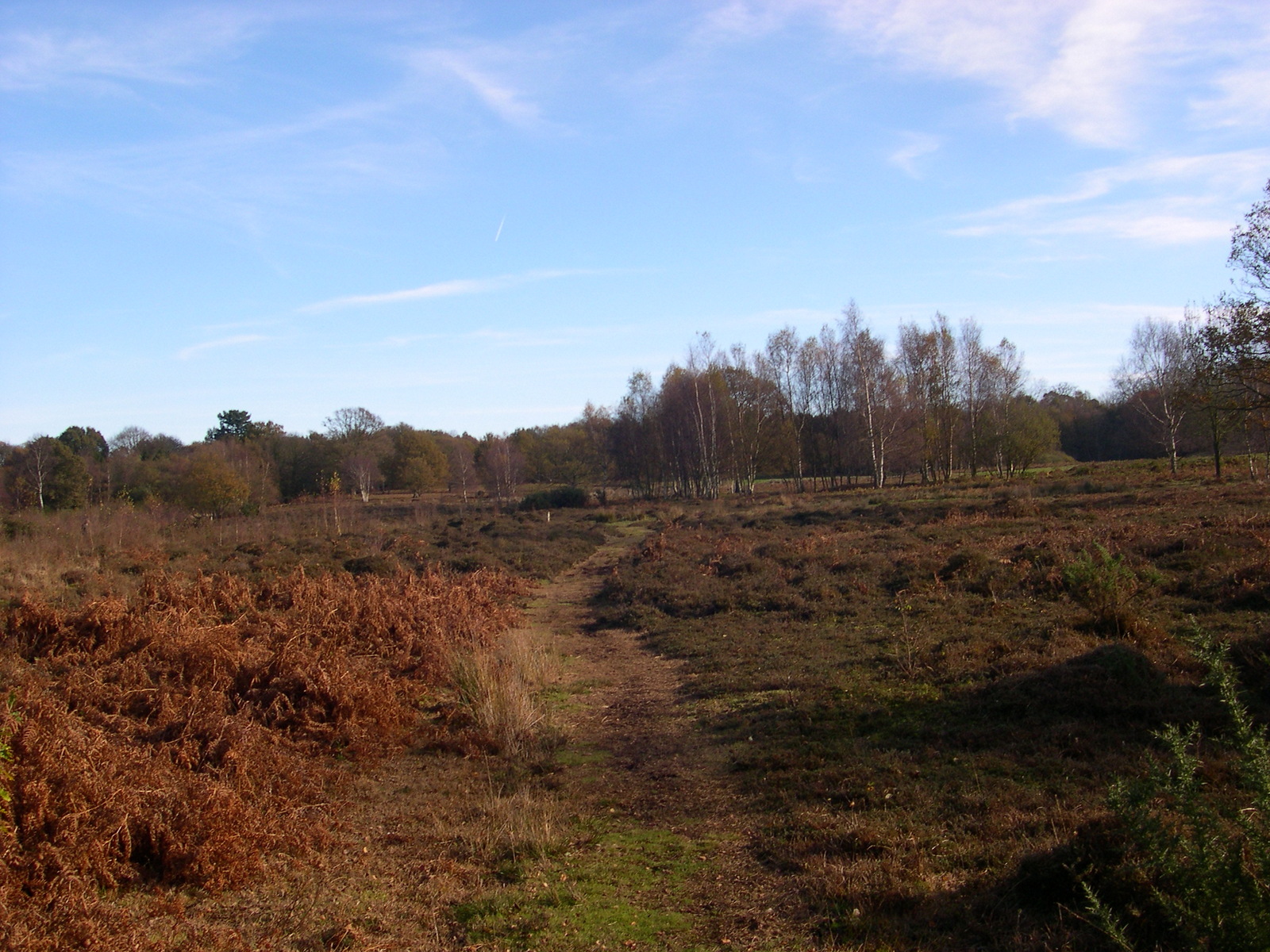 Worthing Wanderer: Roaming along the Greensand Way Day 10 Pluckley ...