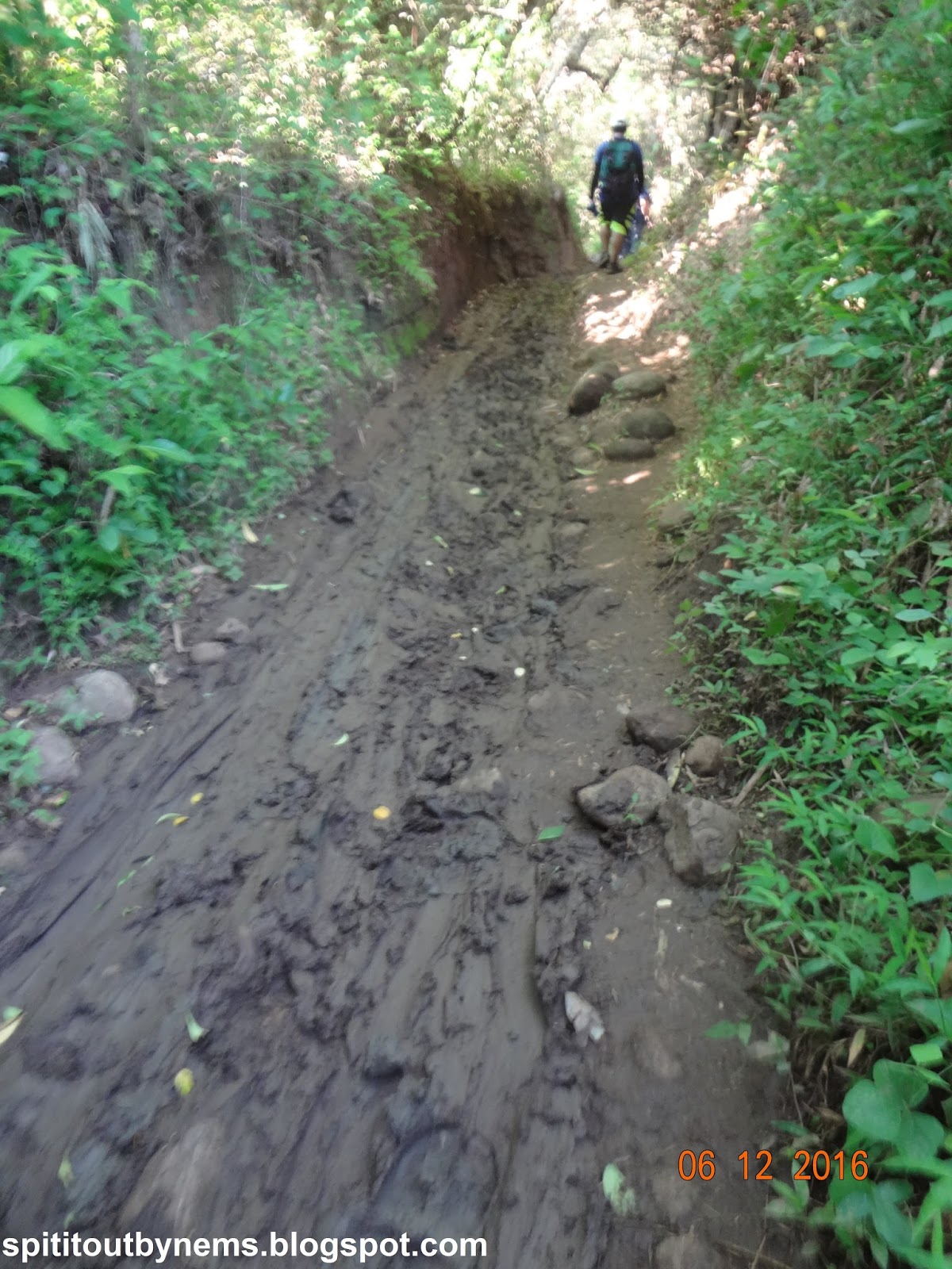 Independence Day Climb: Mt. Buntis and Mt. Nagpatong