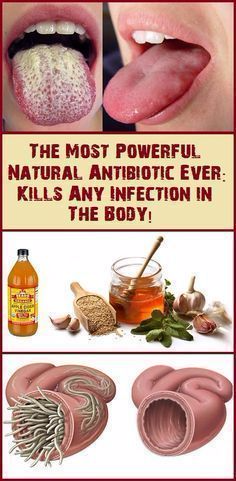 The Most Powerful Natural Antibiotic Ever: Kills Any Infection in The ...
