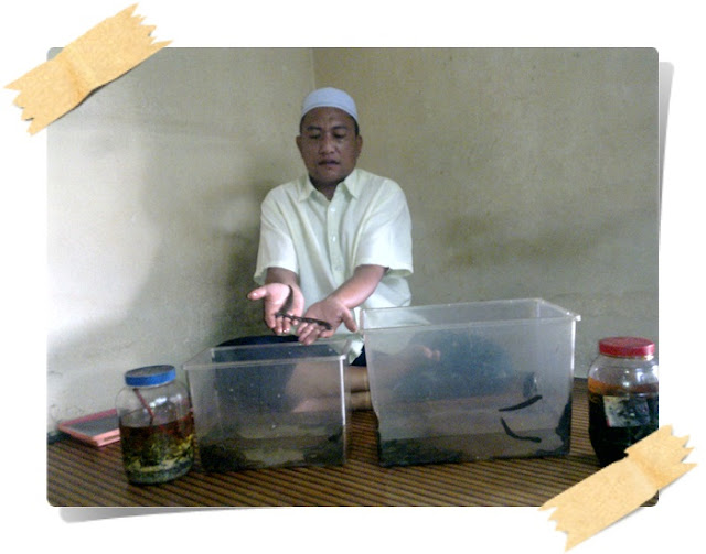 Menjual Ubat Kuat Lelaki: Lintah