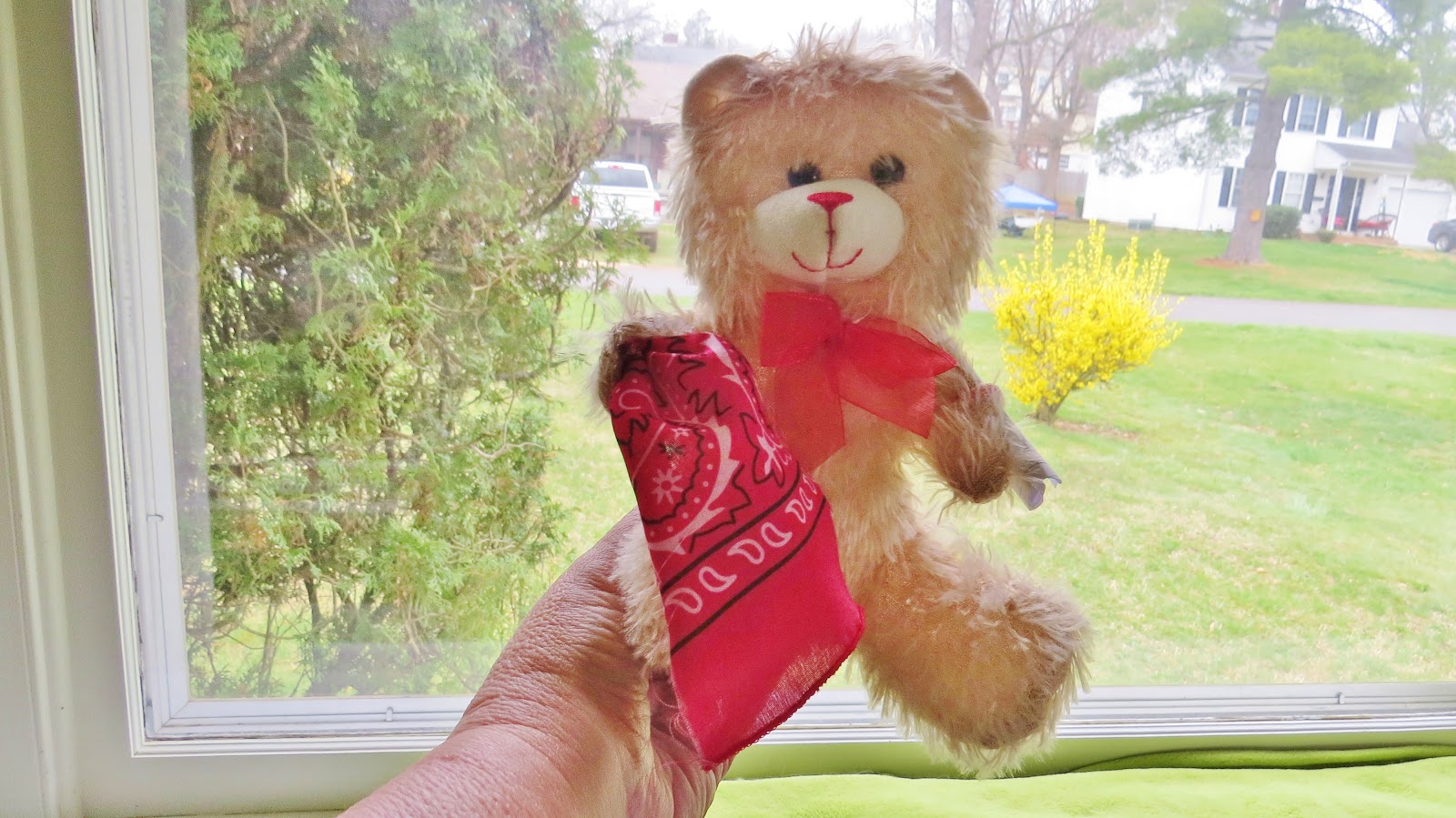 Let Your Light Shine: The Burden Bear