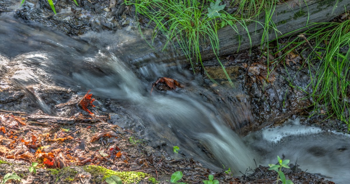 TrulandPhoto MiniBlog: Reflections, Rivulets and Rivers - Part 2, Rivulets