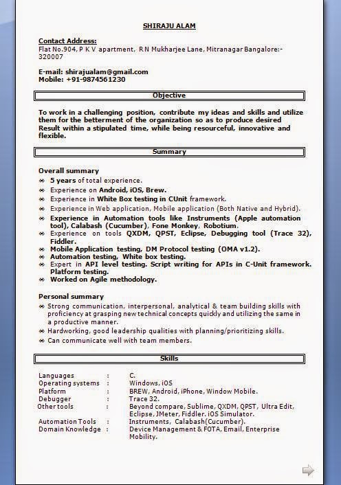 cv template for 16 year old - Resume