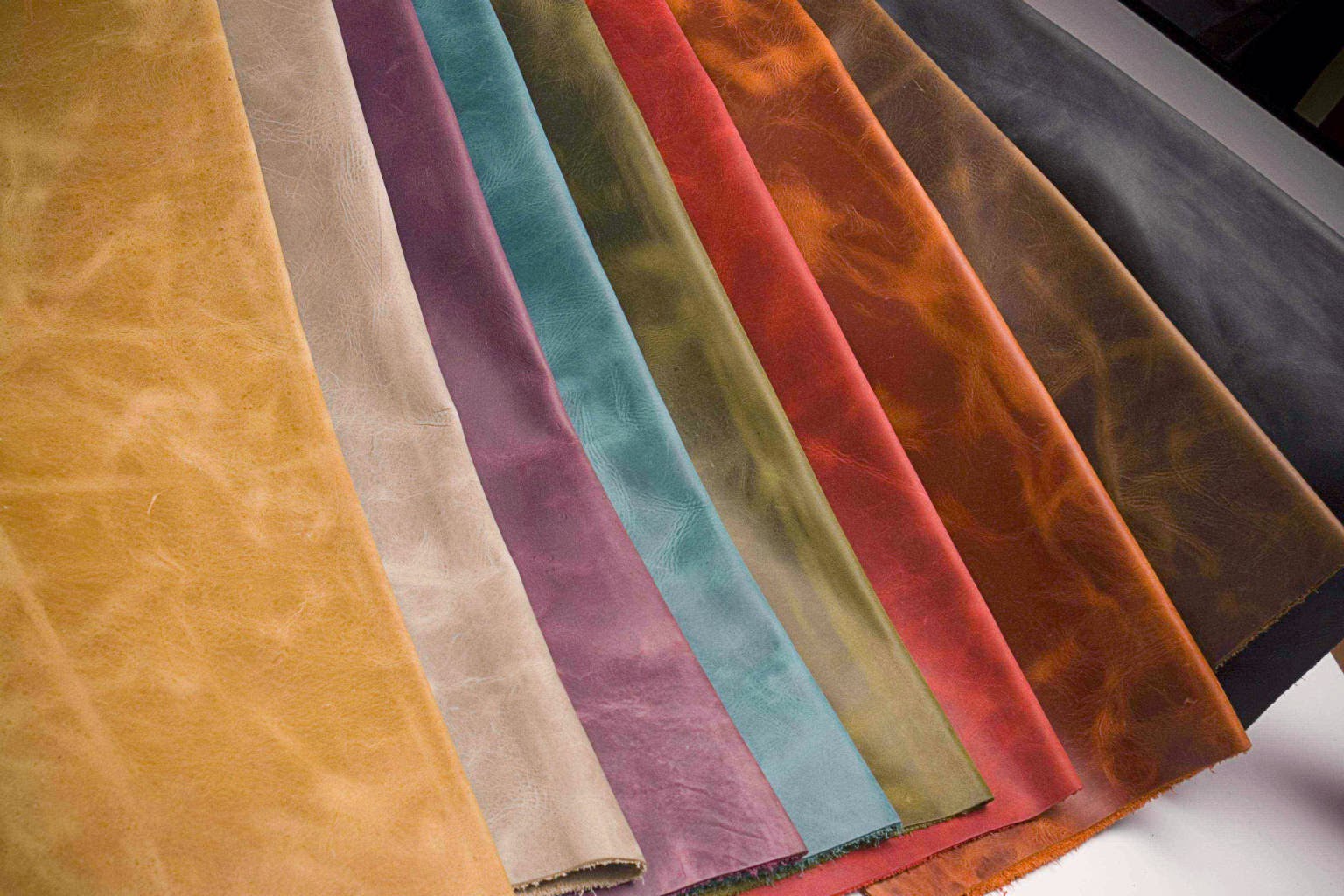 Agroindustrias Inc: Industria del Cuero