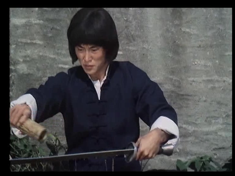 SHAOLIN'S BORN INVINCIBLE a.k.a BORN INVINCIBLE