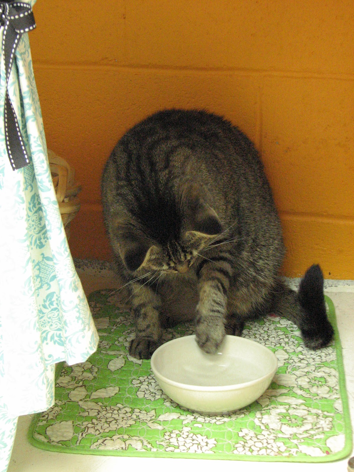 ANDREA GRAHAM : What's up...