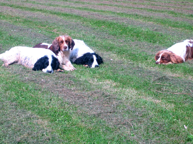 Princess Rogan - Mrs Katie Heath