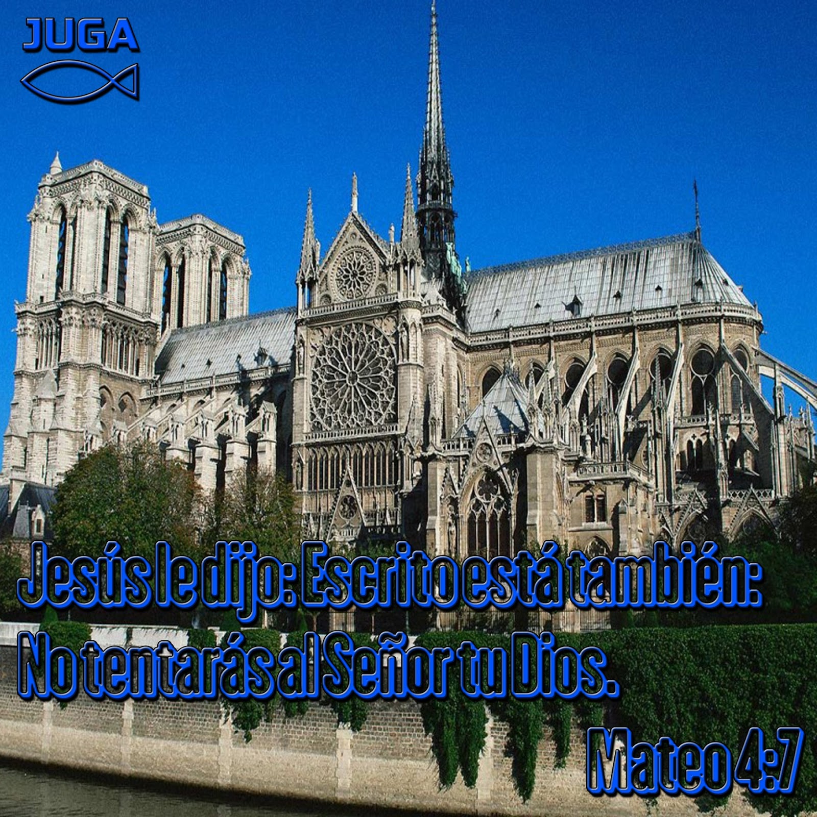 Juventud Galilea: agosto 2013