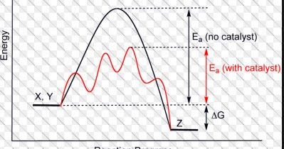 Pengertian Katalis Homogen - SIAP UJIAN