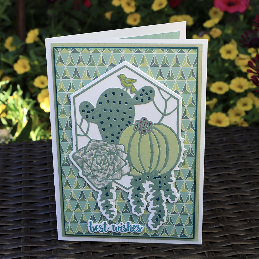 SUCCULENT CARDS - In My Own Imagination