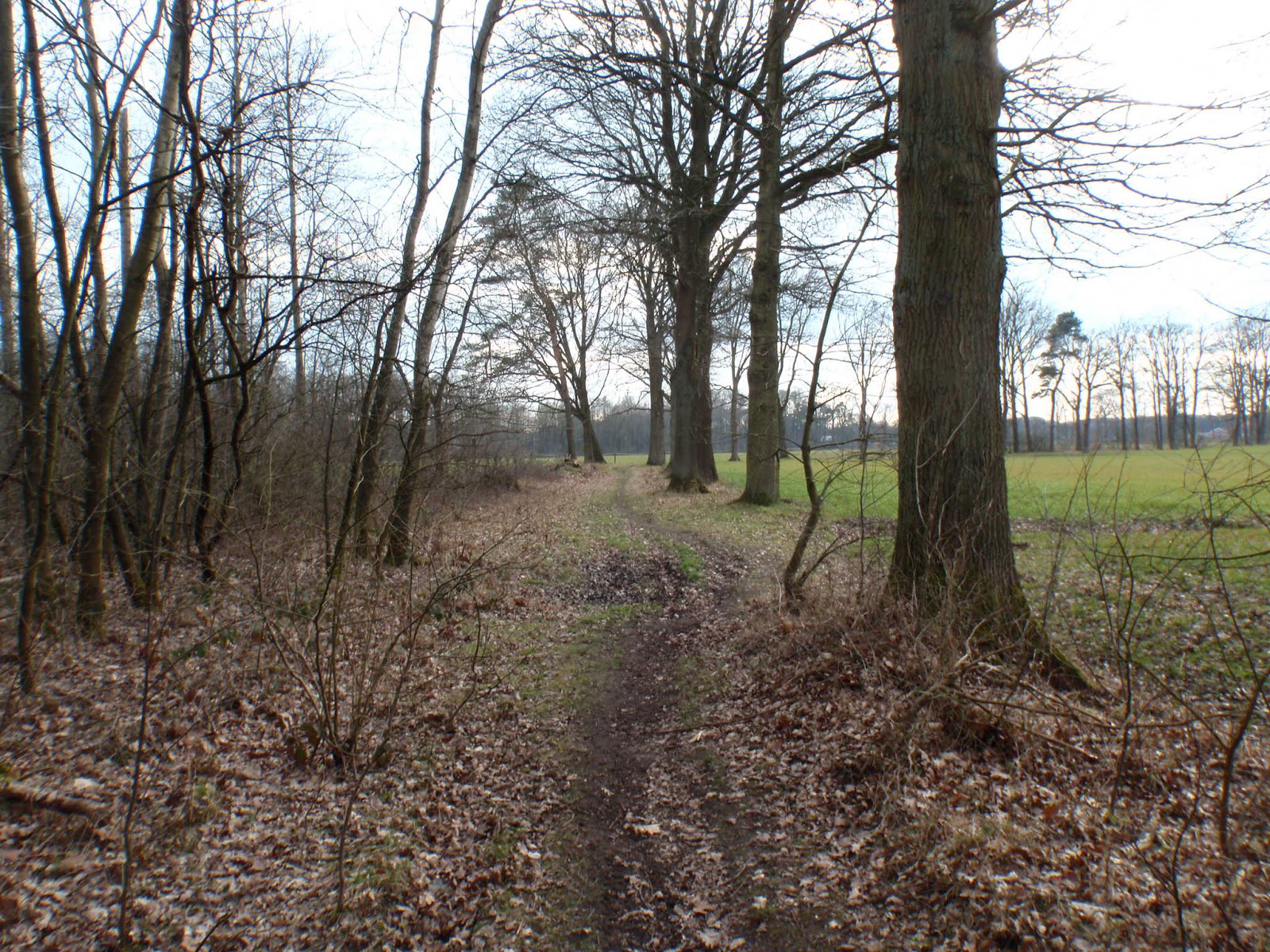 Walking Jeff: Wandeling Zoersel 22/03/2016