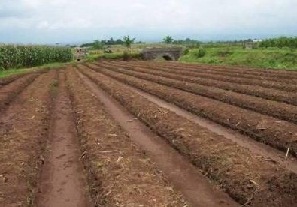 PANCA USAHA TANI dan SAPTA USAHA TANI