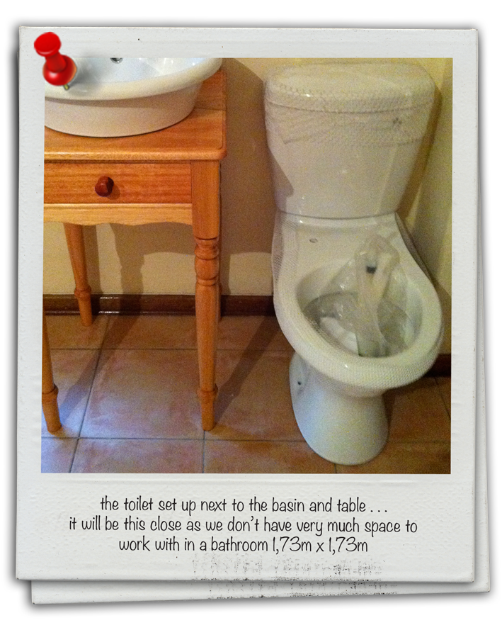 Old House, New Home: A Sneak Peak at Our Bathroom...