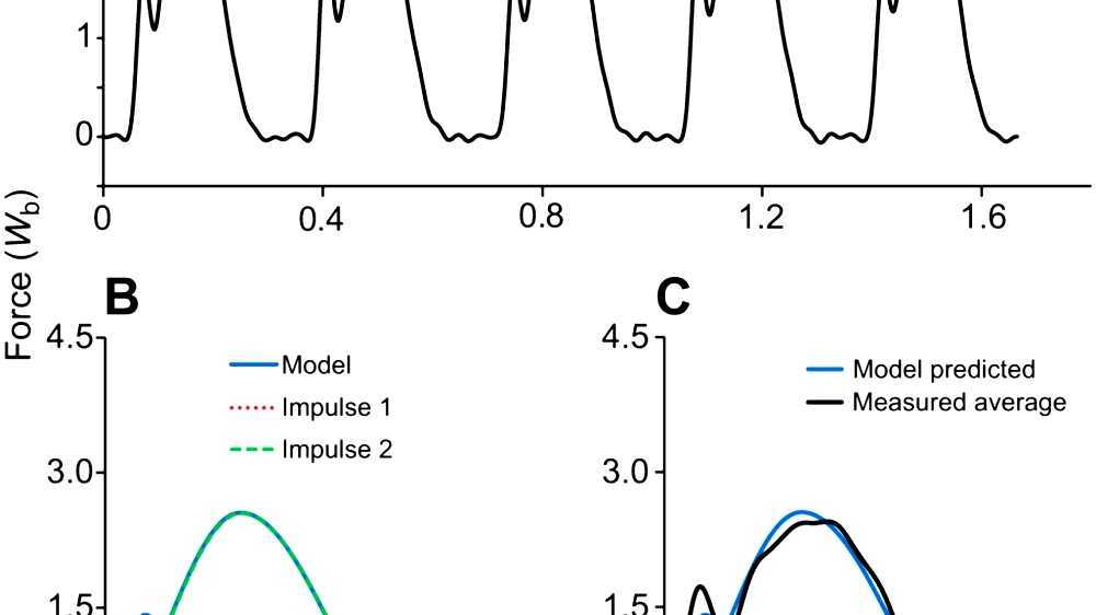 Ground reaction force
