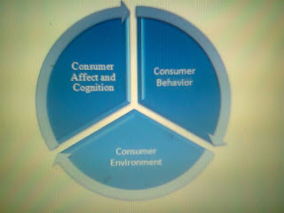 CONSUMER BEHAVIOUR AND MARKETING STRATEGY: CHAPTER III: INTRODUCTION TO ...