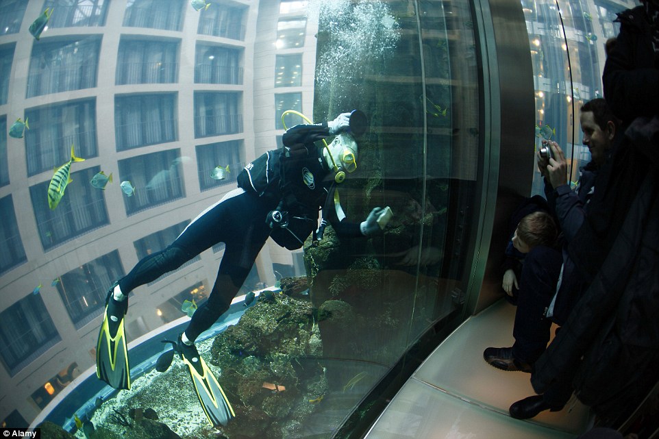 The incredible 82ft-tall hotel aquarium in Berlin that has an elevator ...