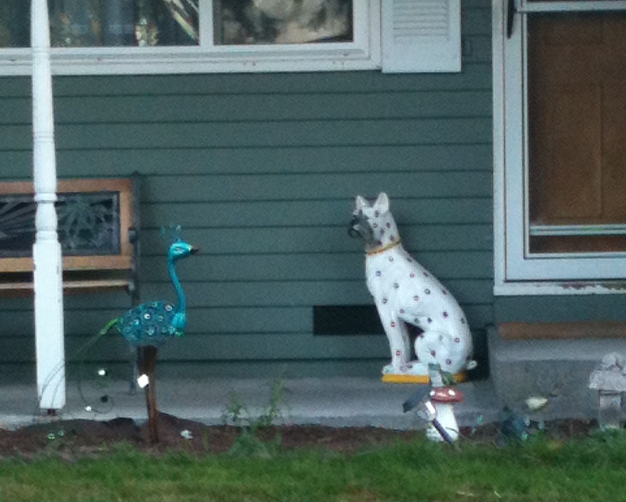 Several Gardens Farm: The phantom pea hen